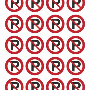 Pictogram niet parkeren sticker - MeerStickers.nl